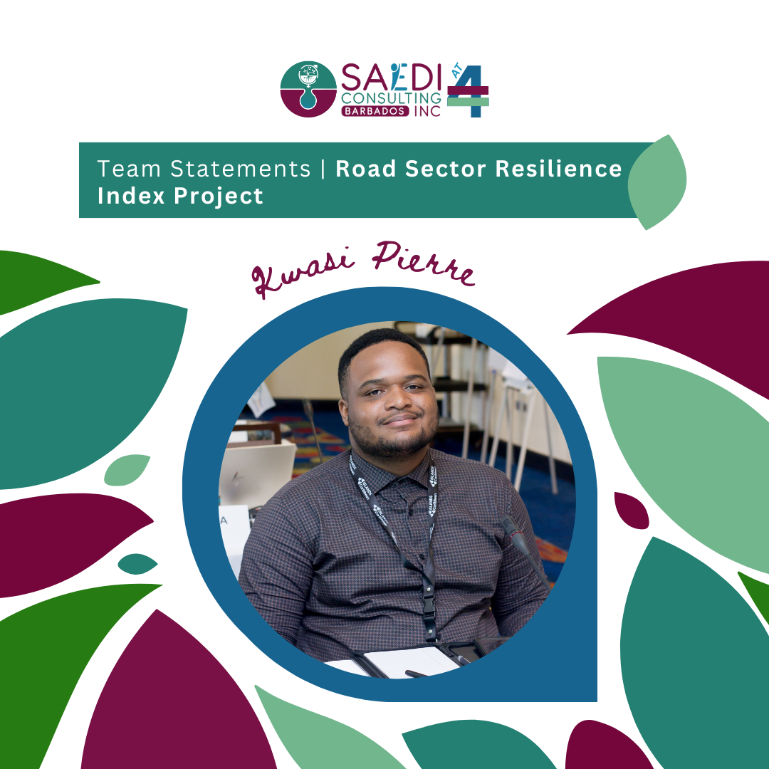 Celebrating 4 Years of SAEDI Consulting - Team Statement #9 | SAEDI ...