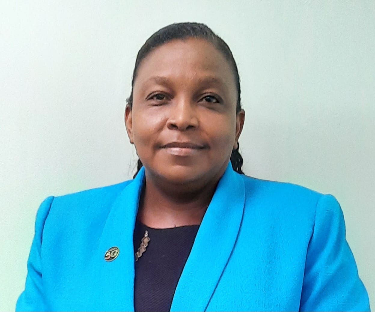 JUST FINANCE: EnGENDERing Sustainable Climate Resilience | SAEDI ...