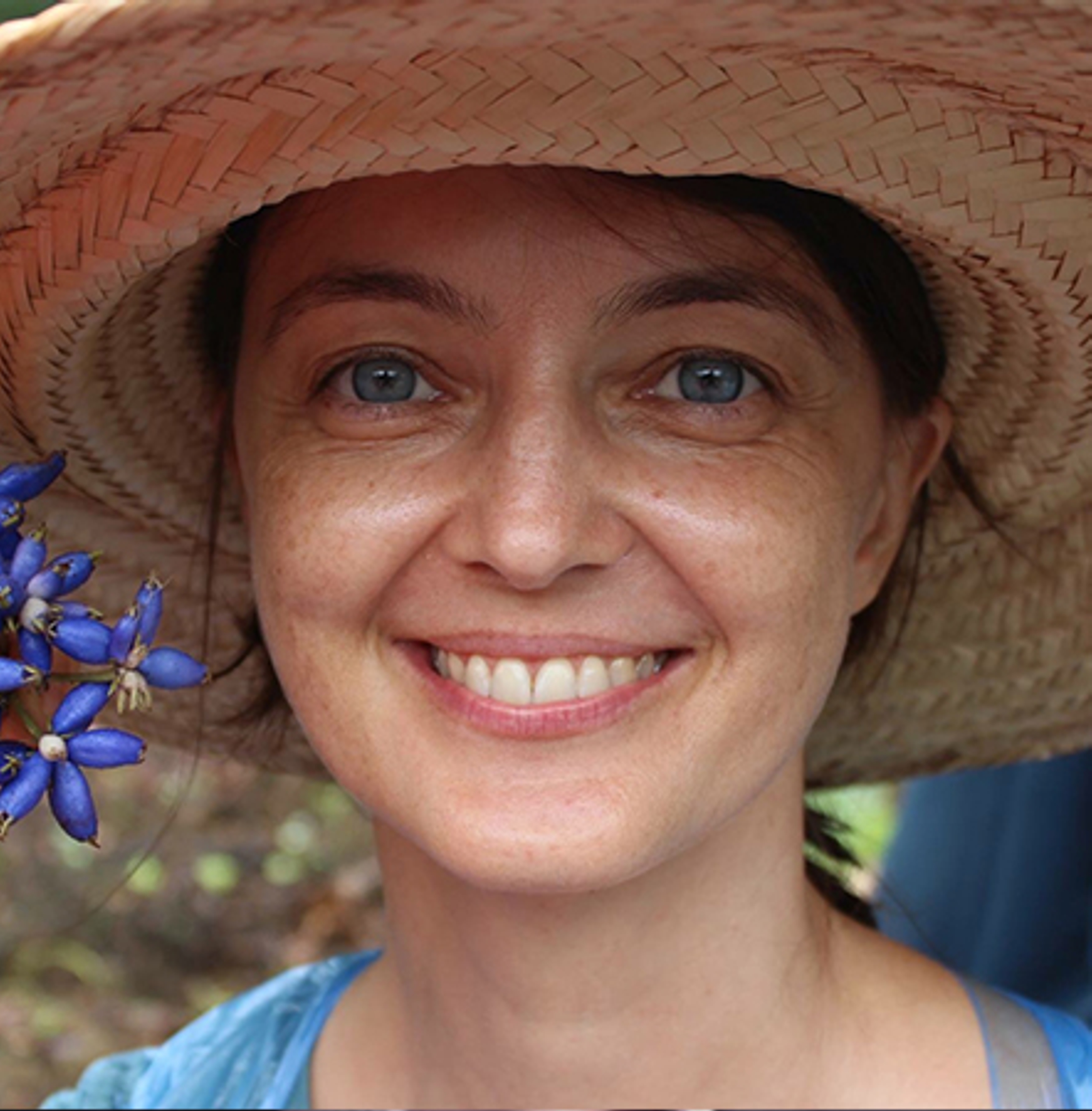 About | SAEDI Consulting Barbados Inc